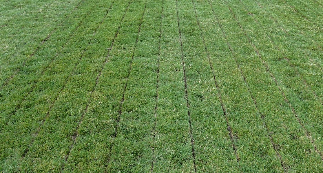 Décompactage avec TERRAMAT II - sous soleuse à lame vibrante ...