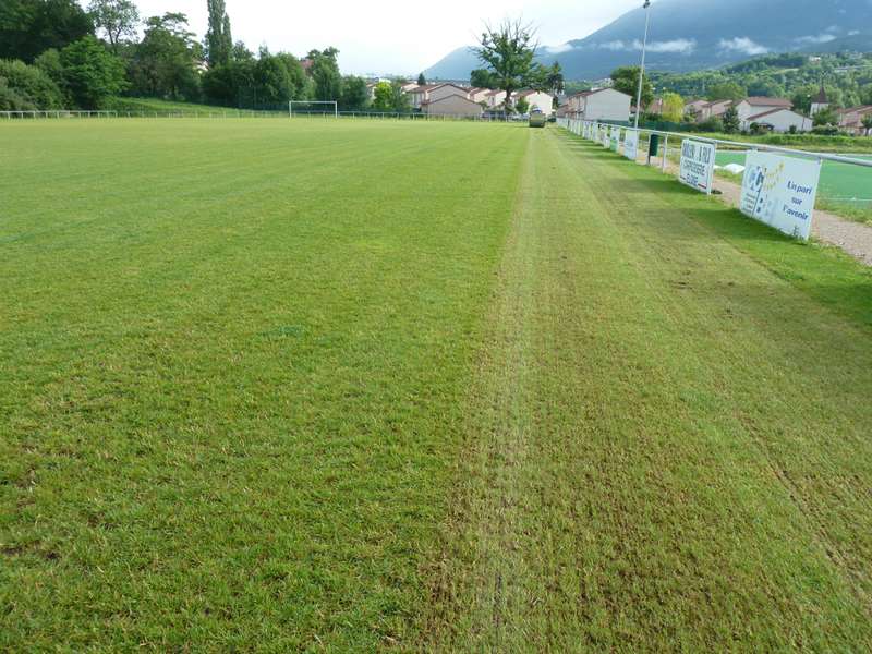 Scarification - scarifier une pelouse - entretien gazon - COSEEC FRANCE SAS